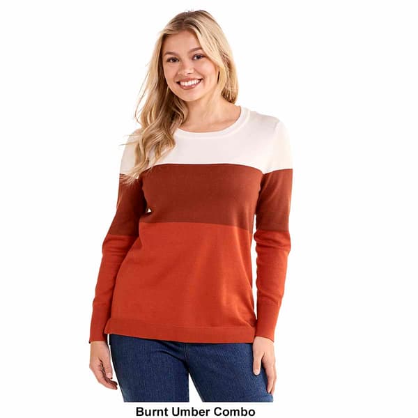 Plus Size Retrology Color Block Crew Neck Sweater - Boscov's