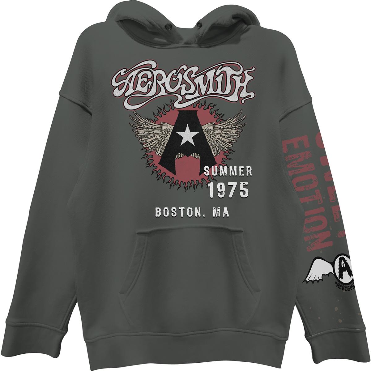 Click here for Young Mens Aerosmith Graphic Fleece Hoodie prices