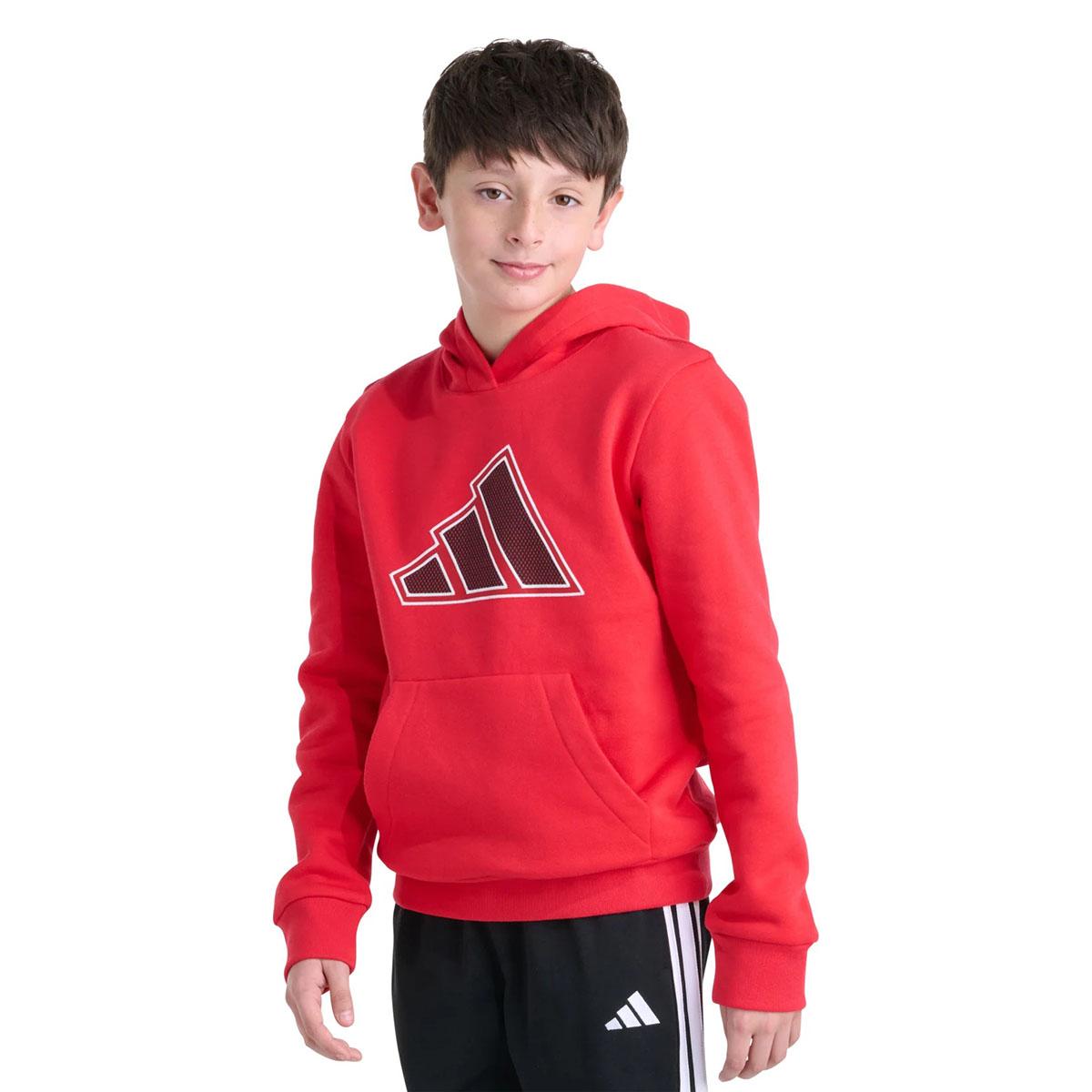 Click here for Boys (8-20) Adidas(R) Mesh Logo Hoodie - Pure Ruby prices