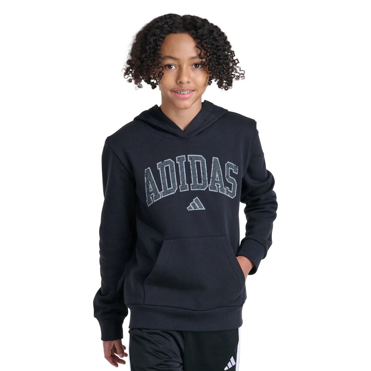 Click here for Boys (8-20) adidas(R) Collegiate Arch Hoodie prices