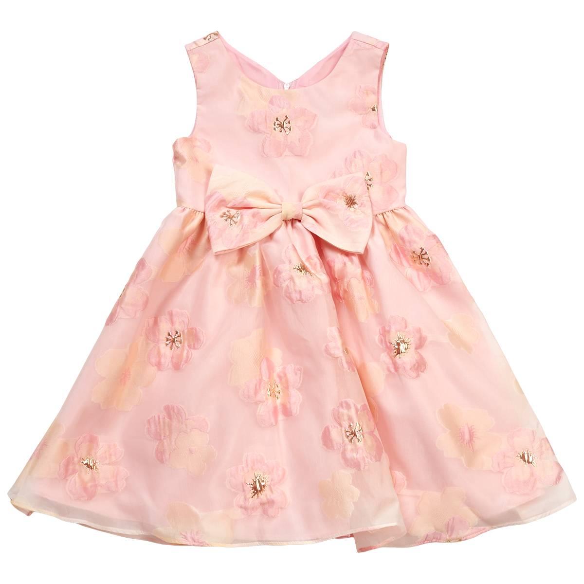 Click here for Girls (4-6x) Rare Editions Floral Burnout Organza... prices