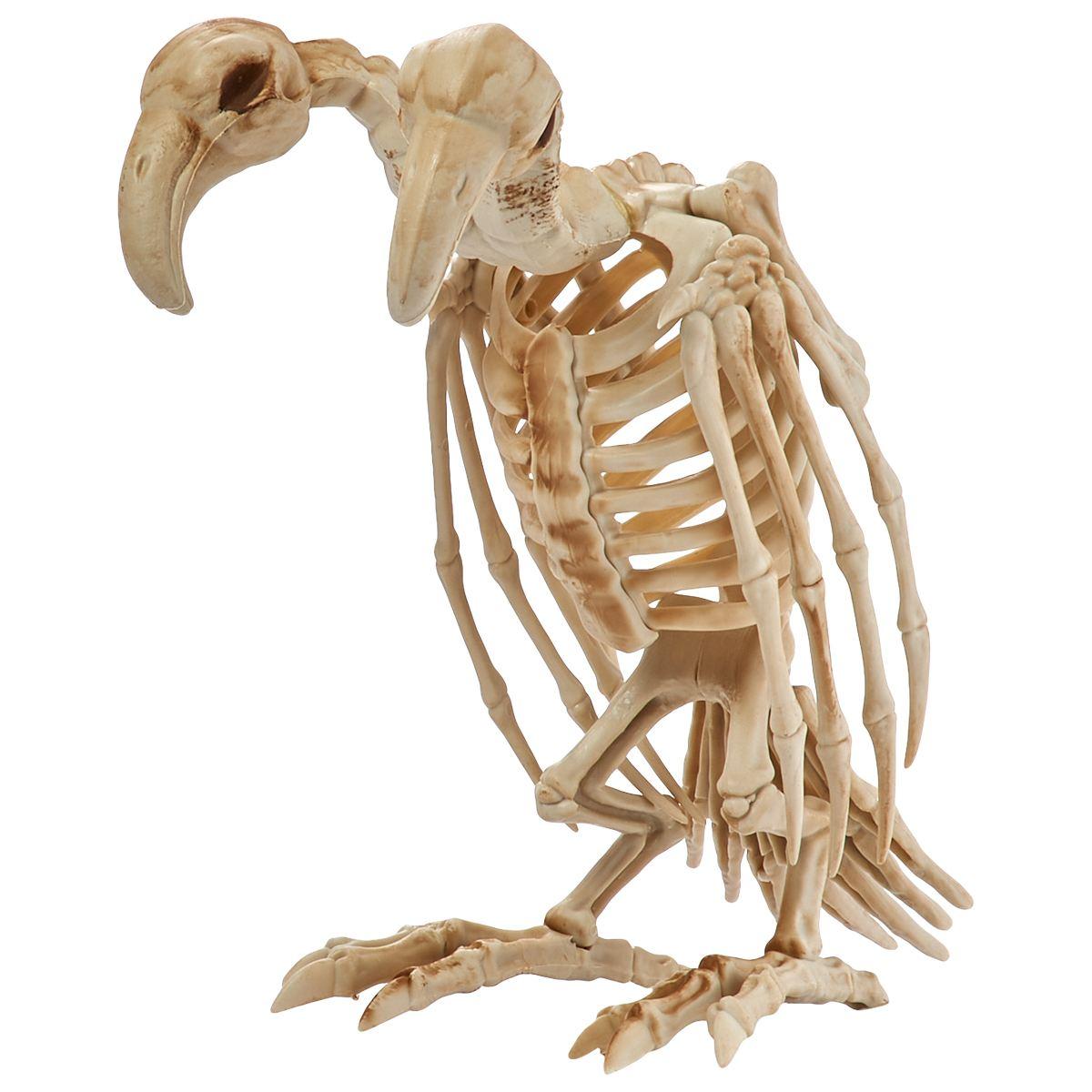 Click here for Two-Headed Vulture Skeleton Decoration - 11.5 Inch... prices