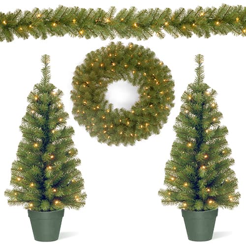 National Tree 4pc. Pre-Lit LED Promotional Assortment