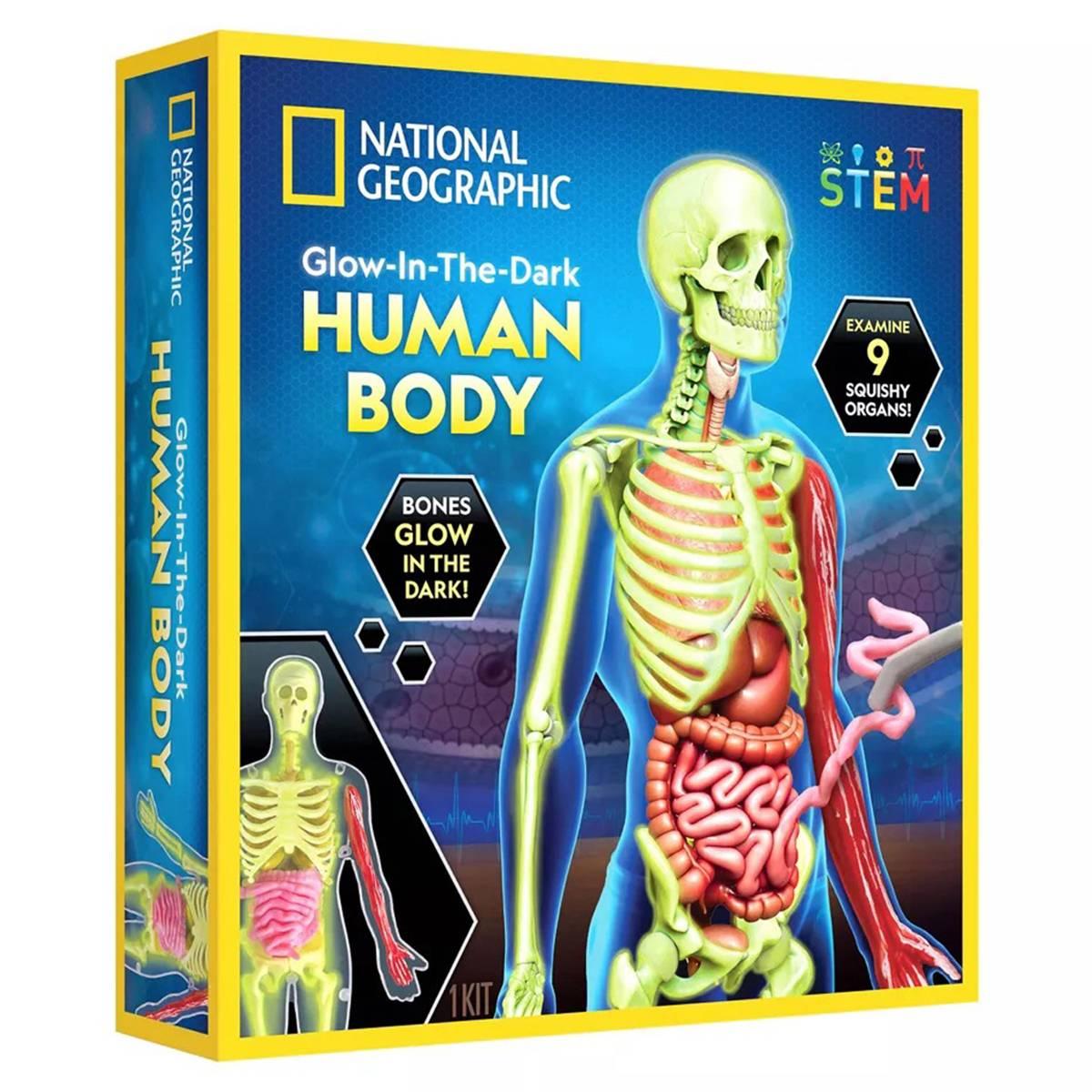 Click here for National Geographic Human Body prices