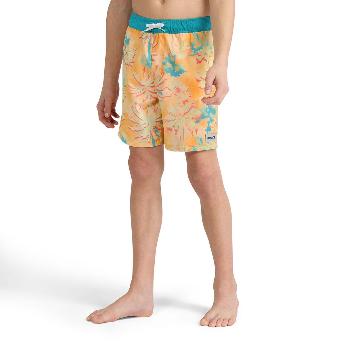 Click here for Boys (8-20) Hurley Pop Color Palm Pull On Swim Tru... prices