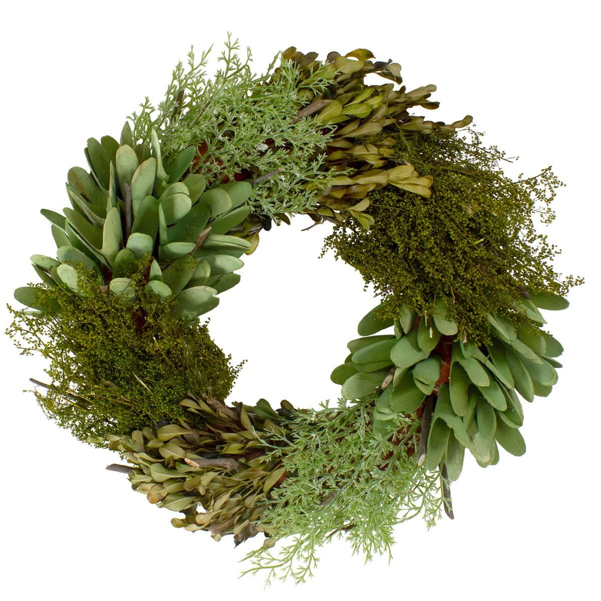 Northlight 14in Cedar Succulent And Day Grass Green Wreath  One Size  Green