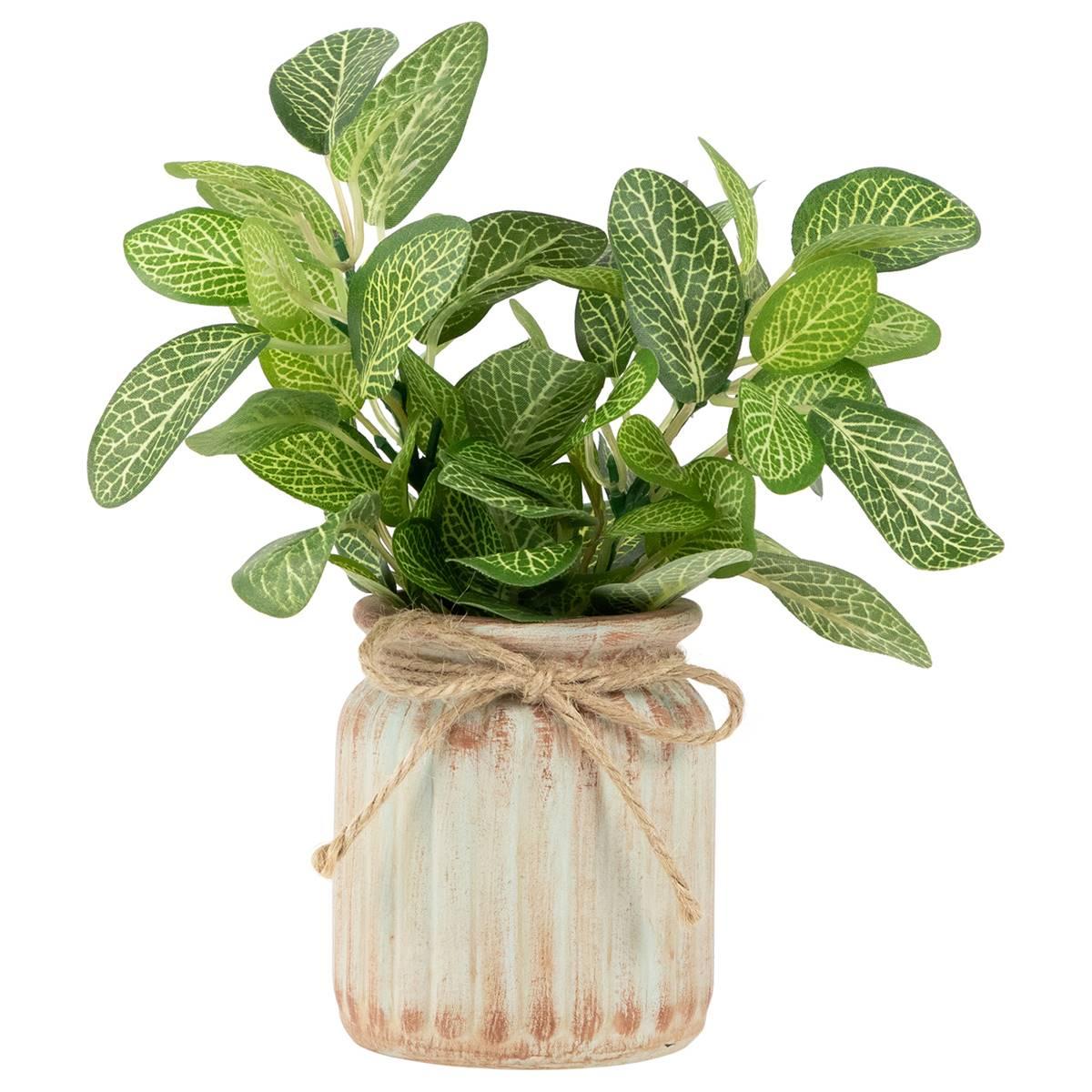 Northlight 8in Foliage In Ceramic Pot Artificial Plant  One Size  Green