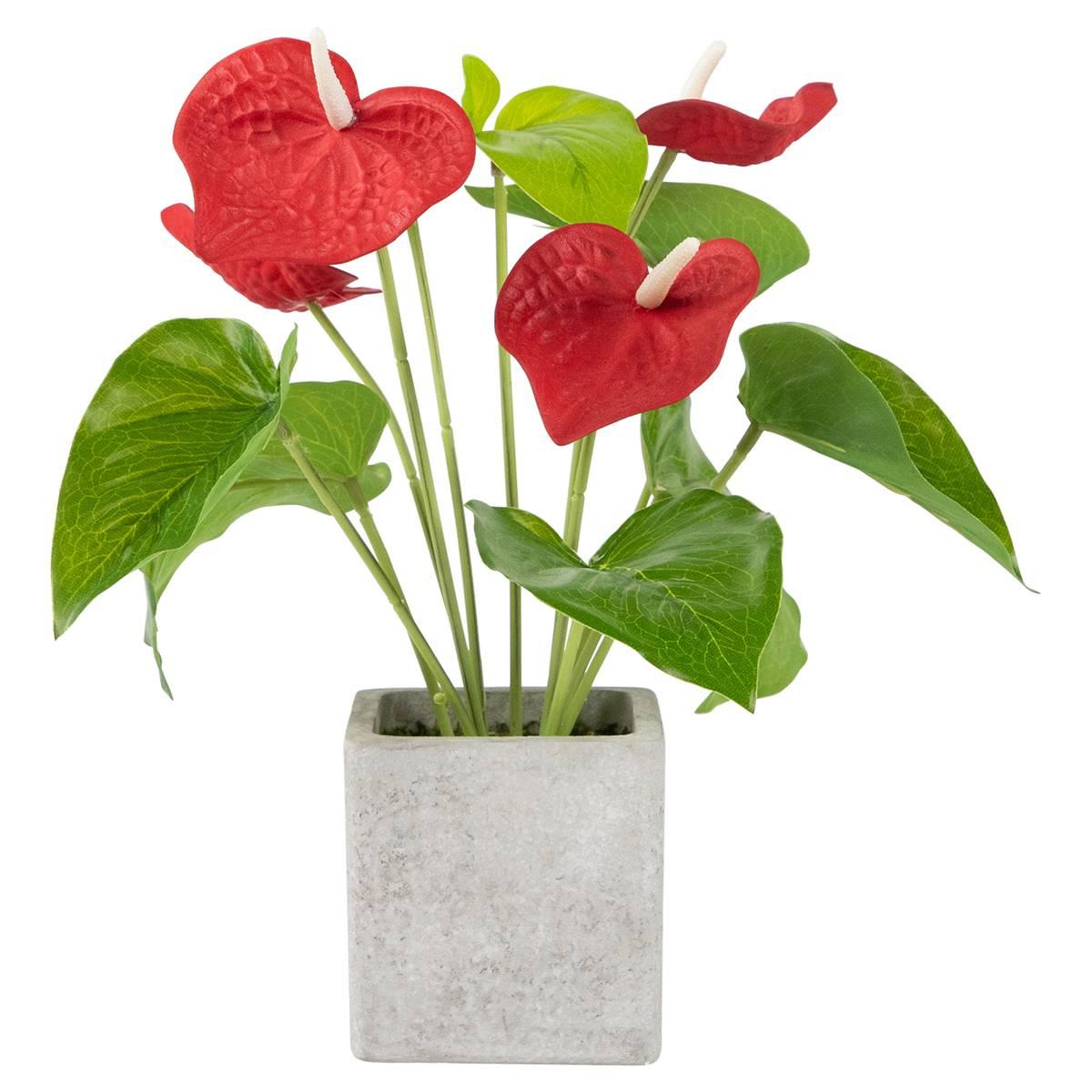 Northlight Floral Plant In A Square Pot Artificial Plant  One Size  Red