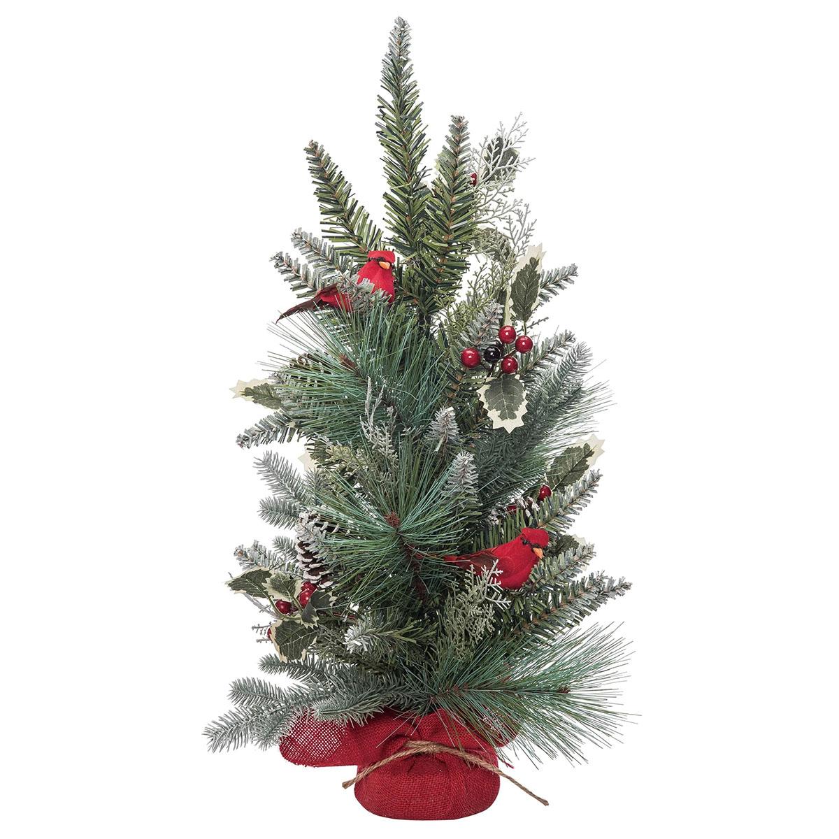 Click here for Transpac Small Cardinal prices