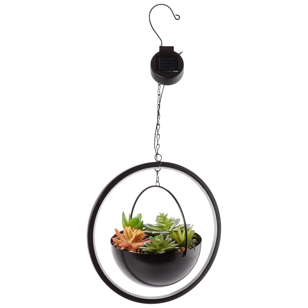 Click here for Hanging Solar Succulent Pot prices
