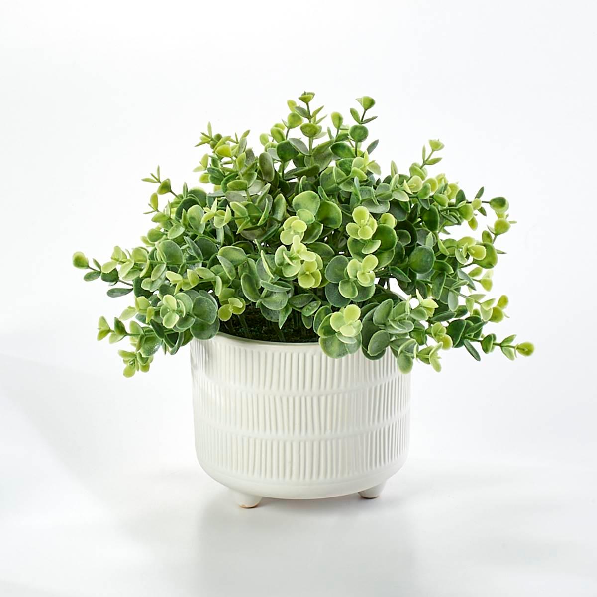 Click here for Artificial Eucalyptus Plant prices