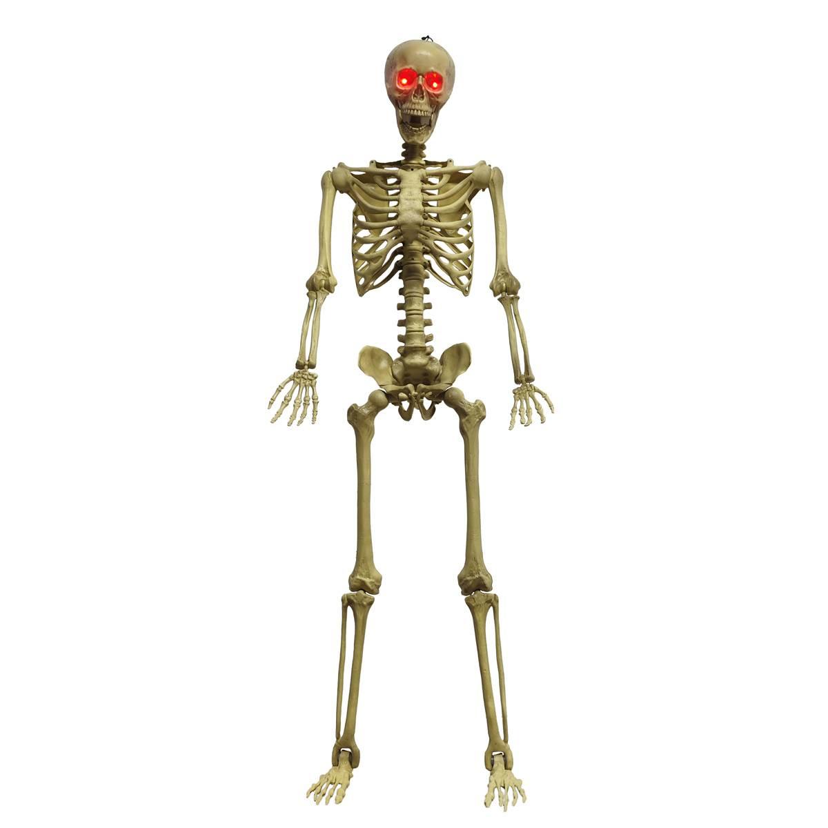Click here for Battery-Operated 60in. Posable Skeleton with Red L... prices
