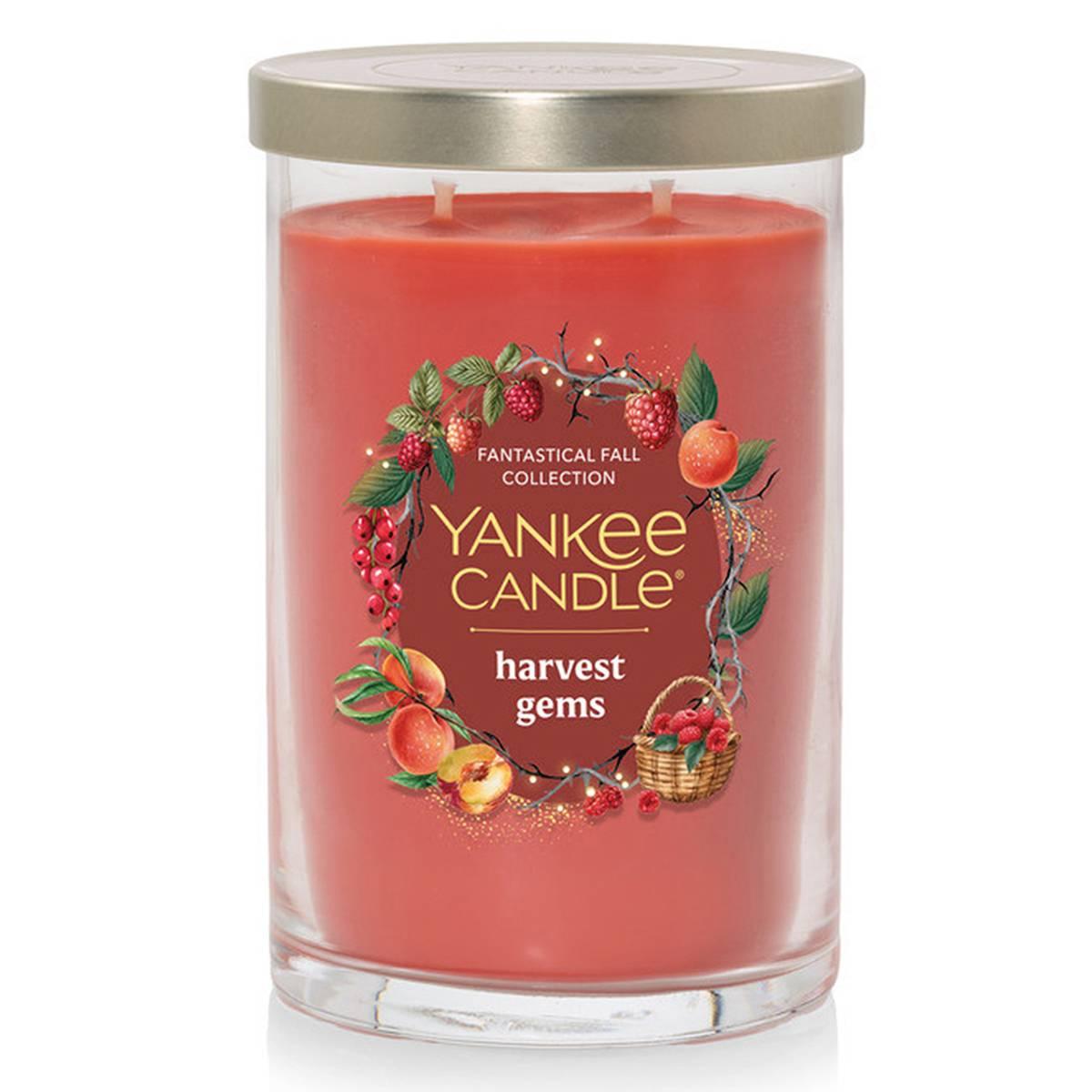 Click here for Yankee Candle(R) 2 Wick Harvest Gems prices