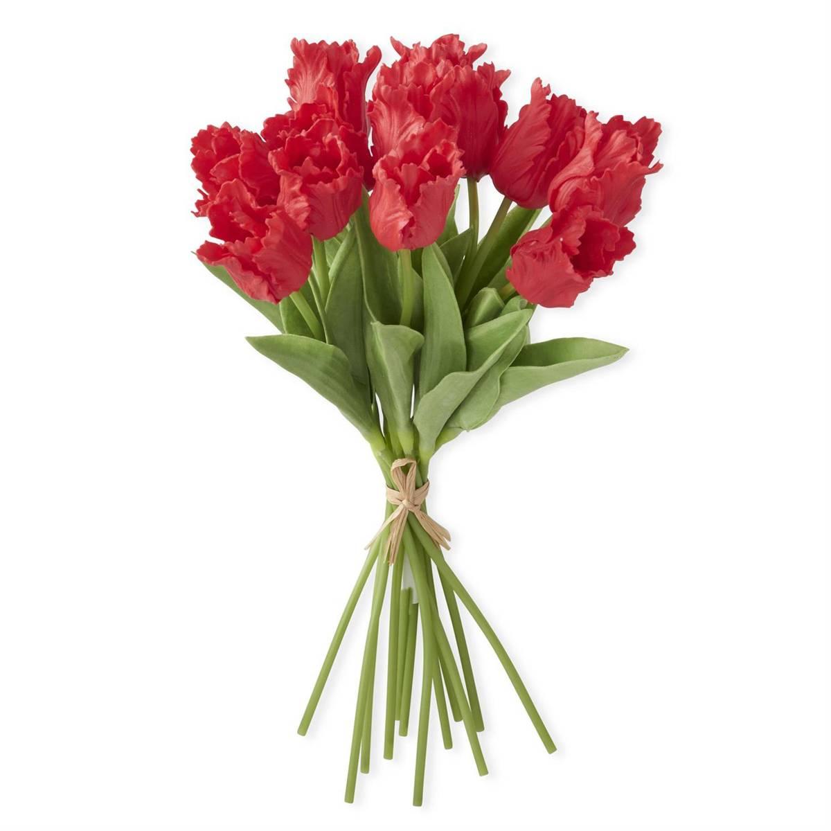 Click here for K&K Interiors Red Parrot Tulip Bundle prices