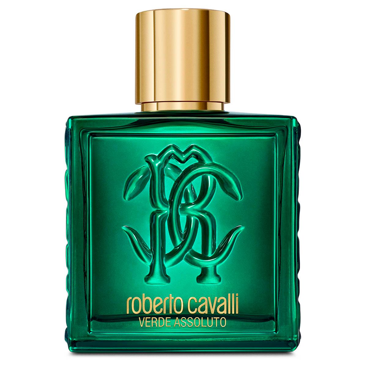 Click here for Roberto Cavalli Uomo Verde Assoluto Pour Homme Eau... prices