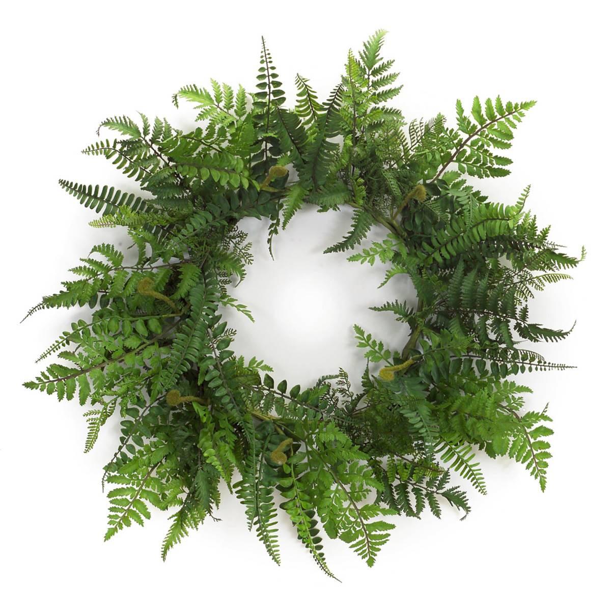 Click here for Melrose 24in. Mixed Fern Grapevine Wreath prices