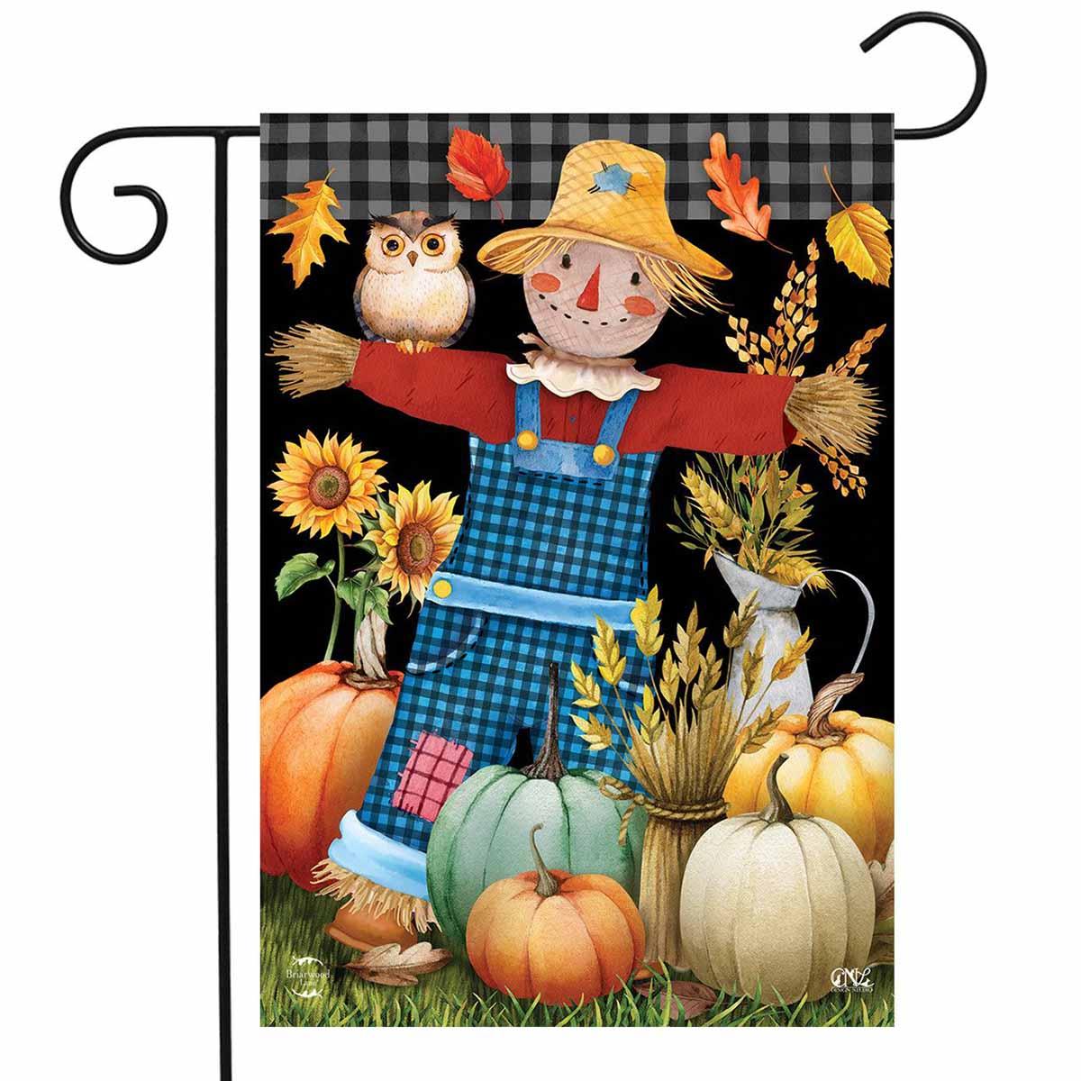 Click here for Briarwood Lane Friendly Scarecrow Autumn Garden Fl... prices