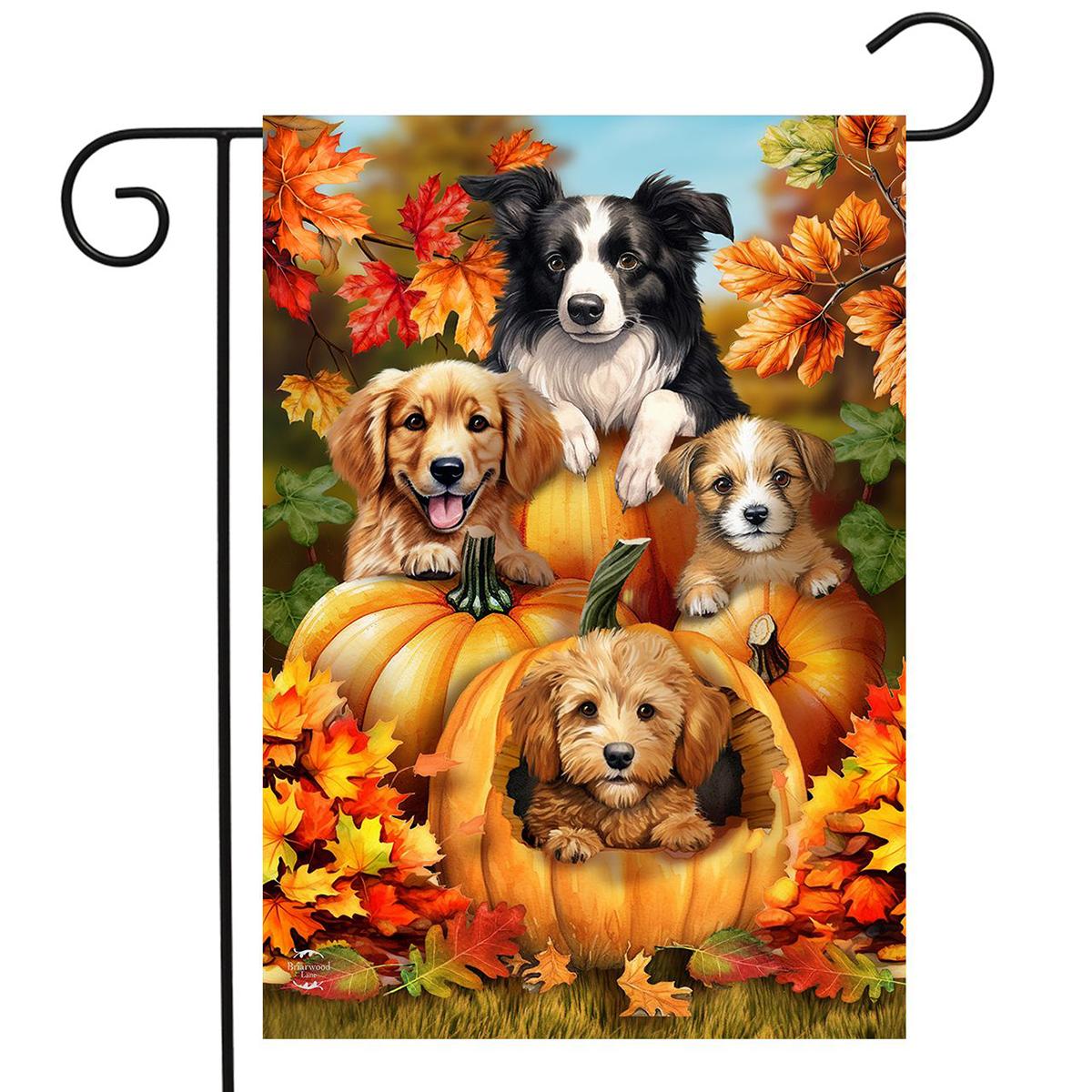 Click here for Briarwood Lane Fall Pumpkin Puppies Garden Flag prices