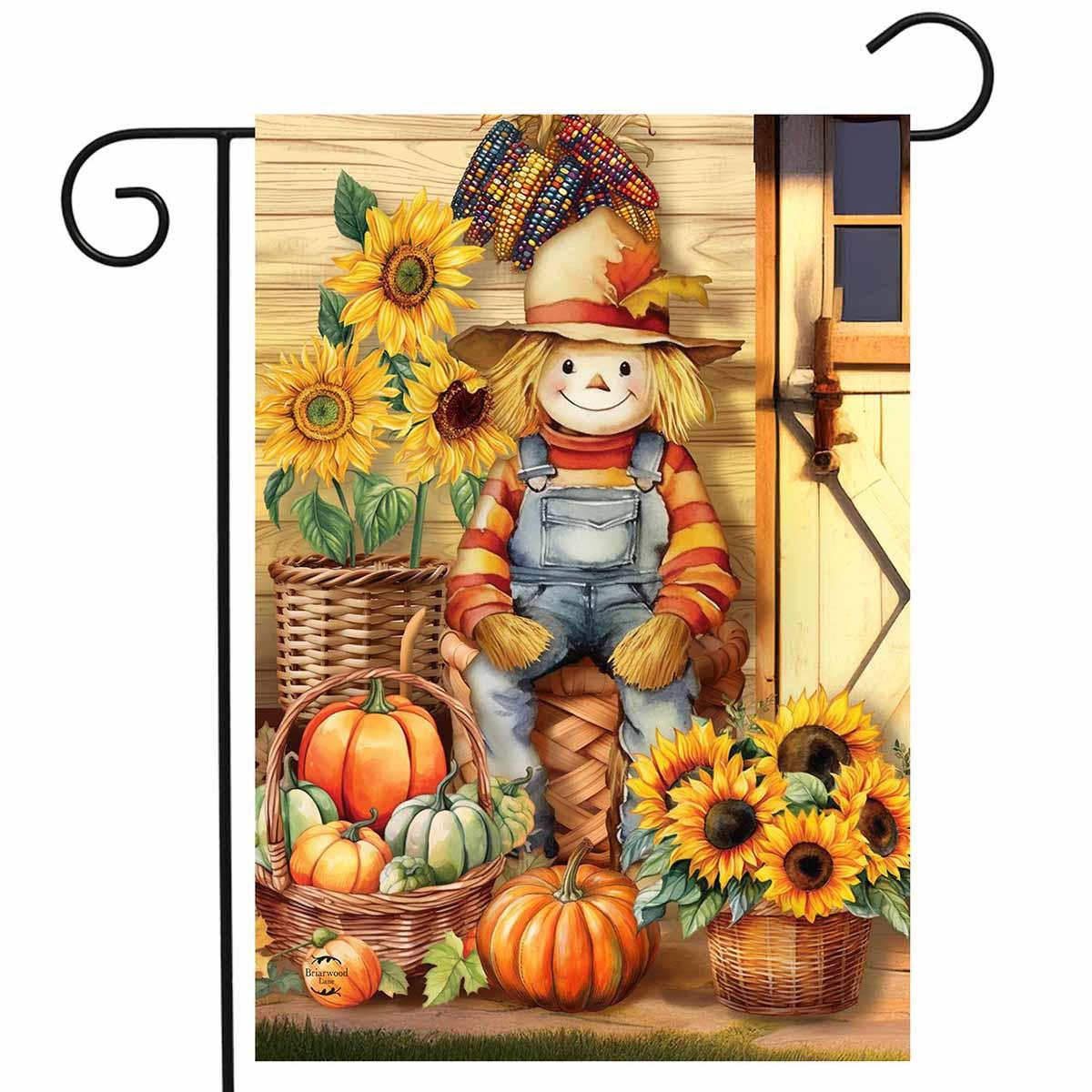 Click here for Briarwood Lane Country Scarcrow Garden Flag prices