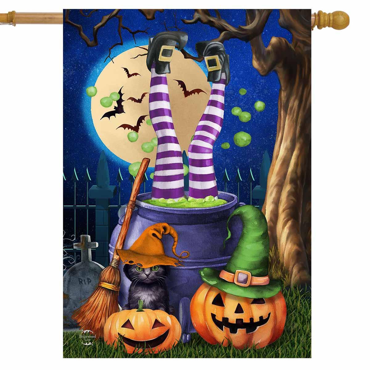 Click here for Briarwood Lane Witches Brew House Flag prices
