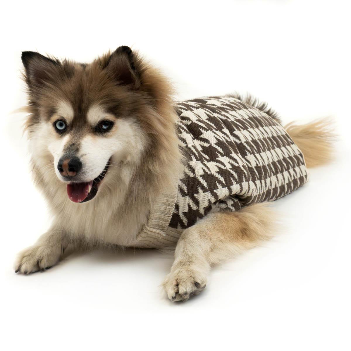 Click here for North Paw Houndstooth Pet Sweater prices
