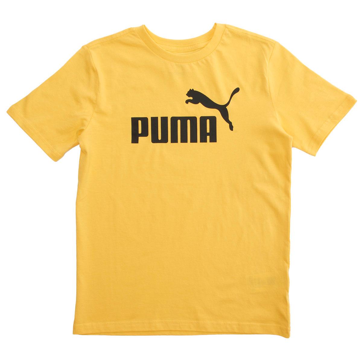 Click here for Boys (8-20) Puma(R) Jersey Cotton Short Sleeve T-S... prices