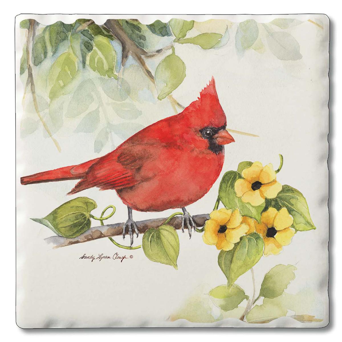 Click here for Thirstystone 4pk. 4.25in. Bird Song Cardinal Squar... prices