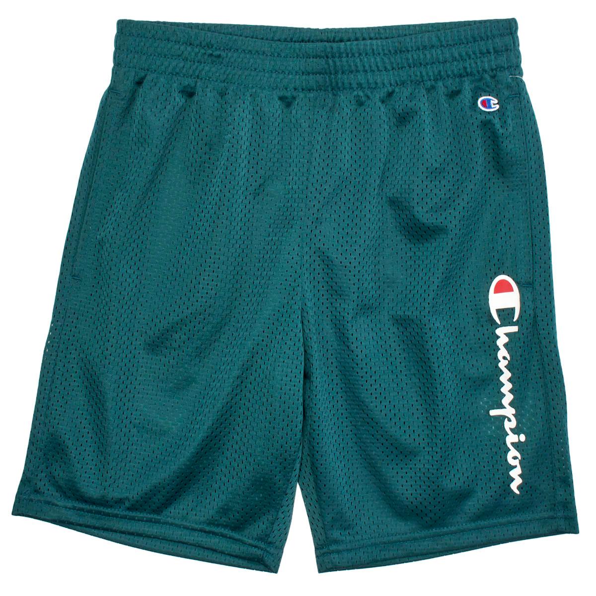 Click here for Boys (8-20) Champion(R) Signature Mesh Shorts prices