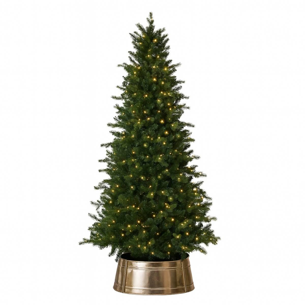 Click here for Seasonal LLC LED Pre-Lit Palmetto 6ft. Artificial... prices