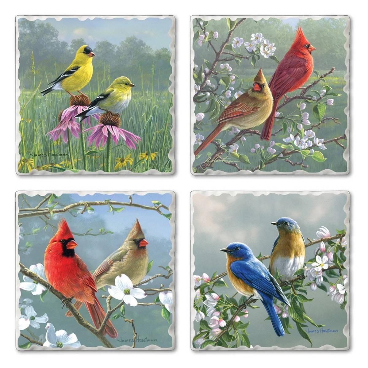 Click here for 4pk. Beautiful Song Birds Square Coaster Set prices