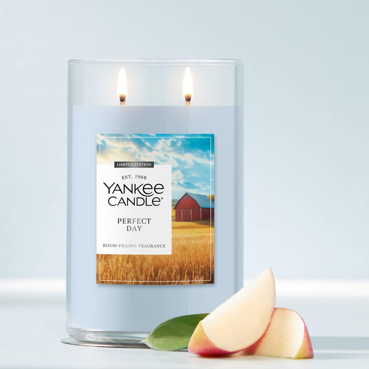 Click here for Yankee Candle(R) Perfect Day 2 Wick Tumbler Candle prices