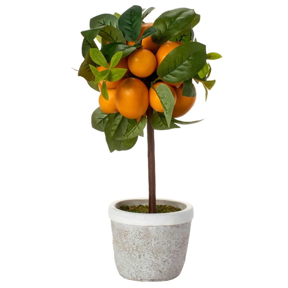 Click here for Lemon Topiary In Round Pot prices