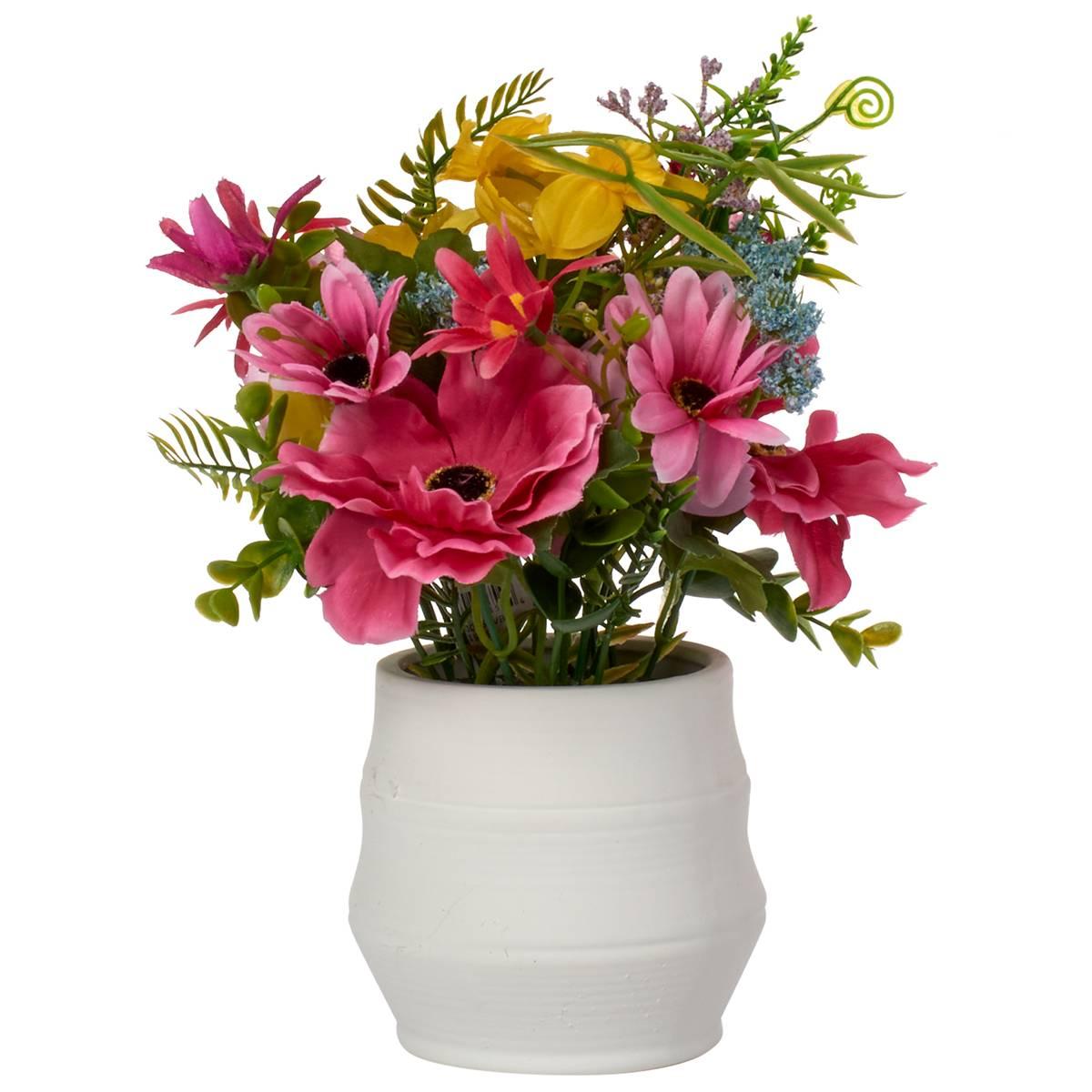 Click here for Anemone Cosmos Narcissus In Ceramic Pot prices