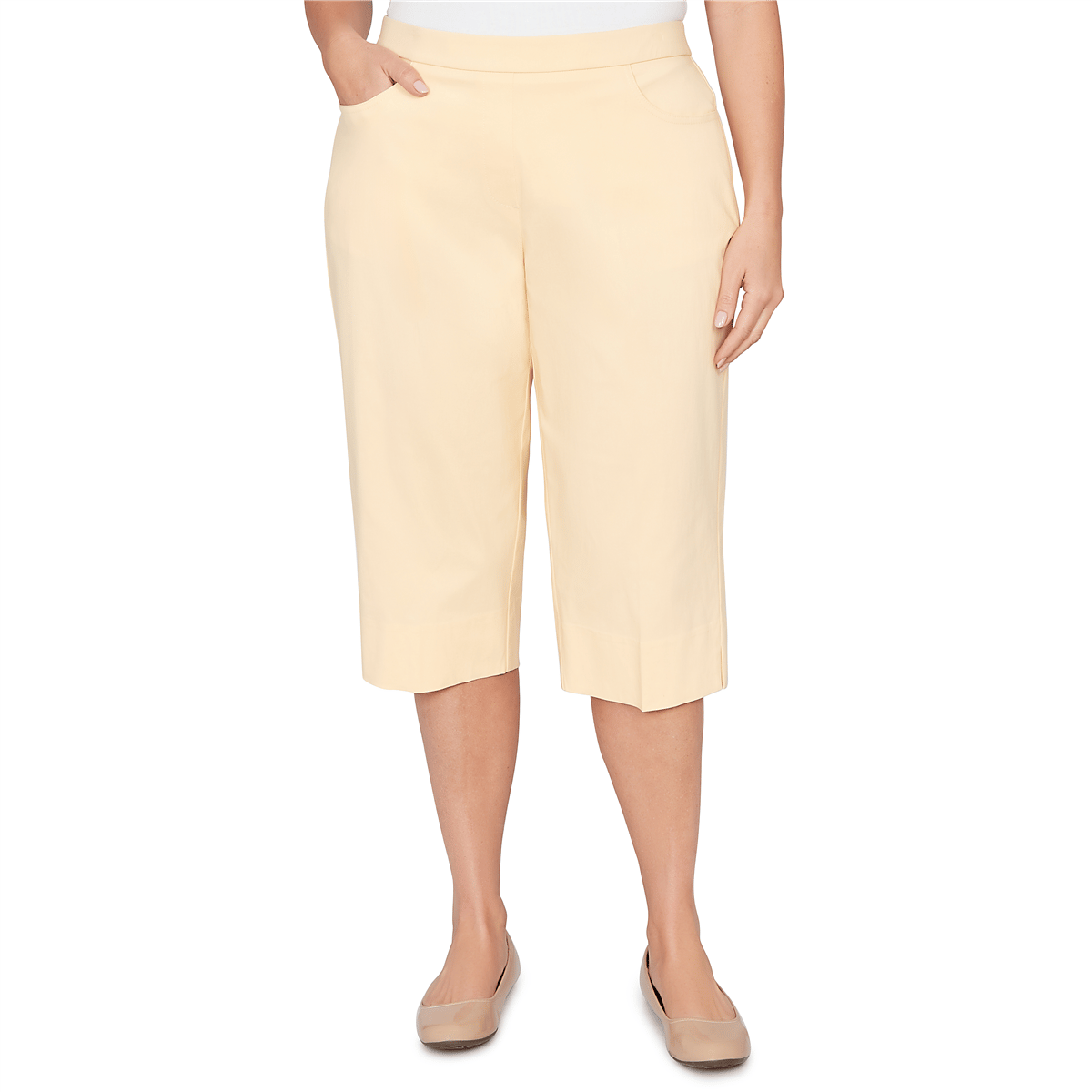 Click here for Plus Size Alfred Dunner Classics Pastel Millennium... prices