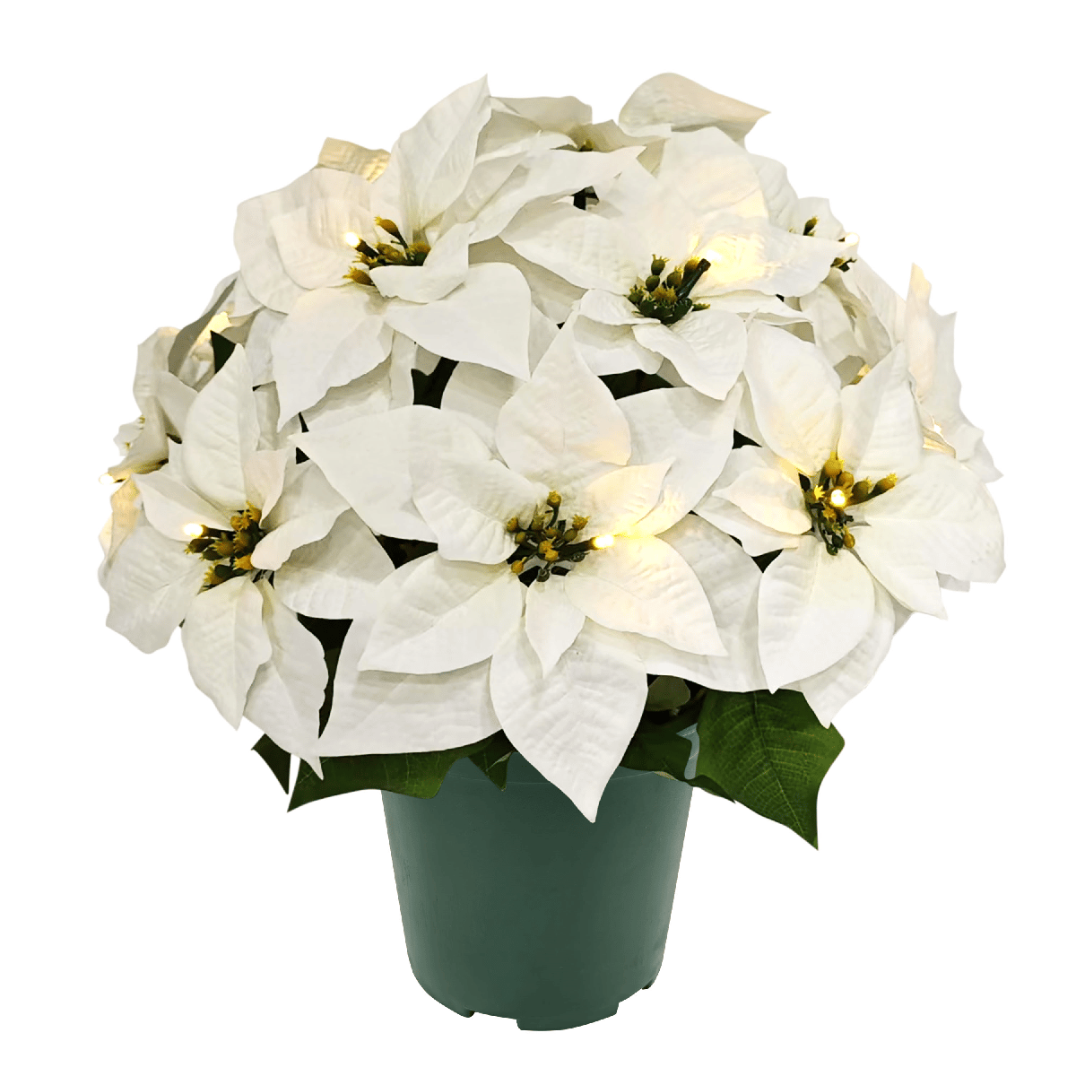 Puleo 19 Pre-Lit Artificial Potted White Poinsettias - White