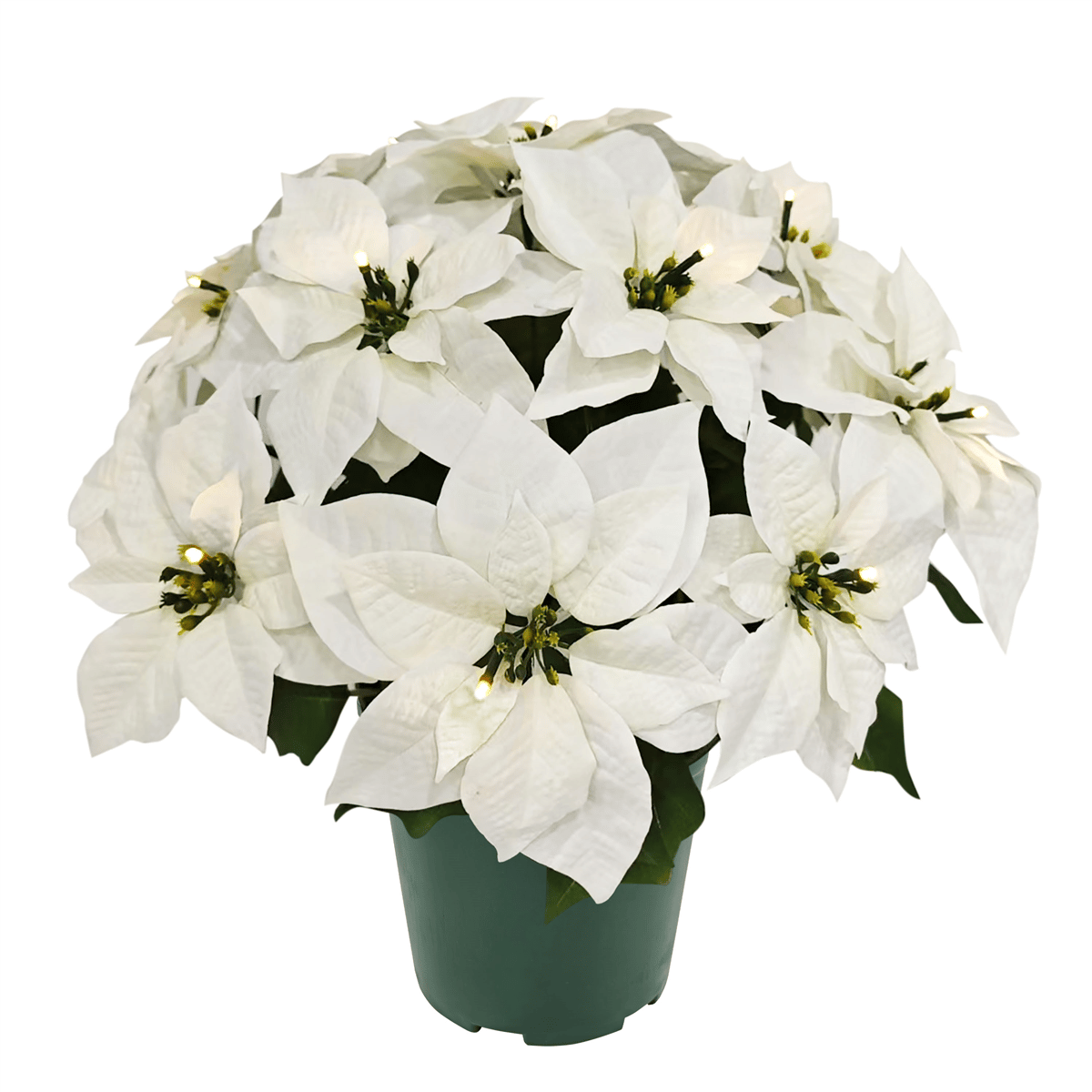 Puleo 22 Pre-Lit Artificial Potted White Poinsettias - White