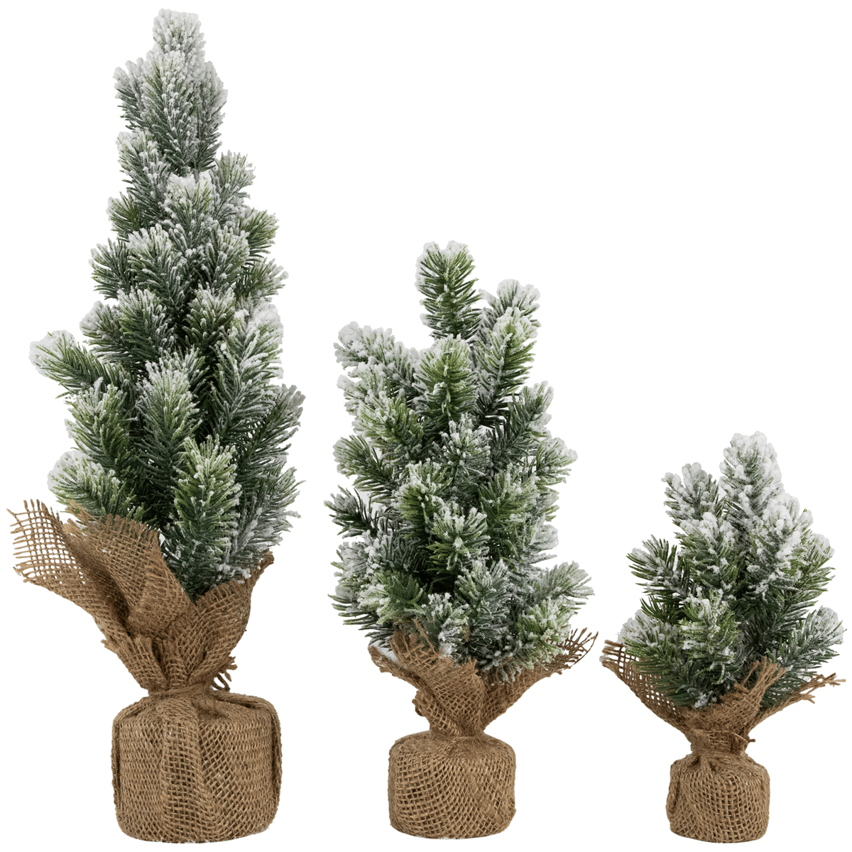 Click here for Northlight 3pc. Mini Flocked Pine Christmas Trees prices