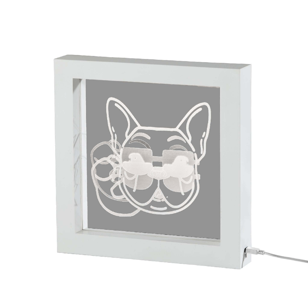 Click here for Simplee Adesso Cool Dog Video Light Box prices